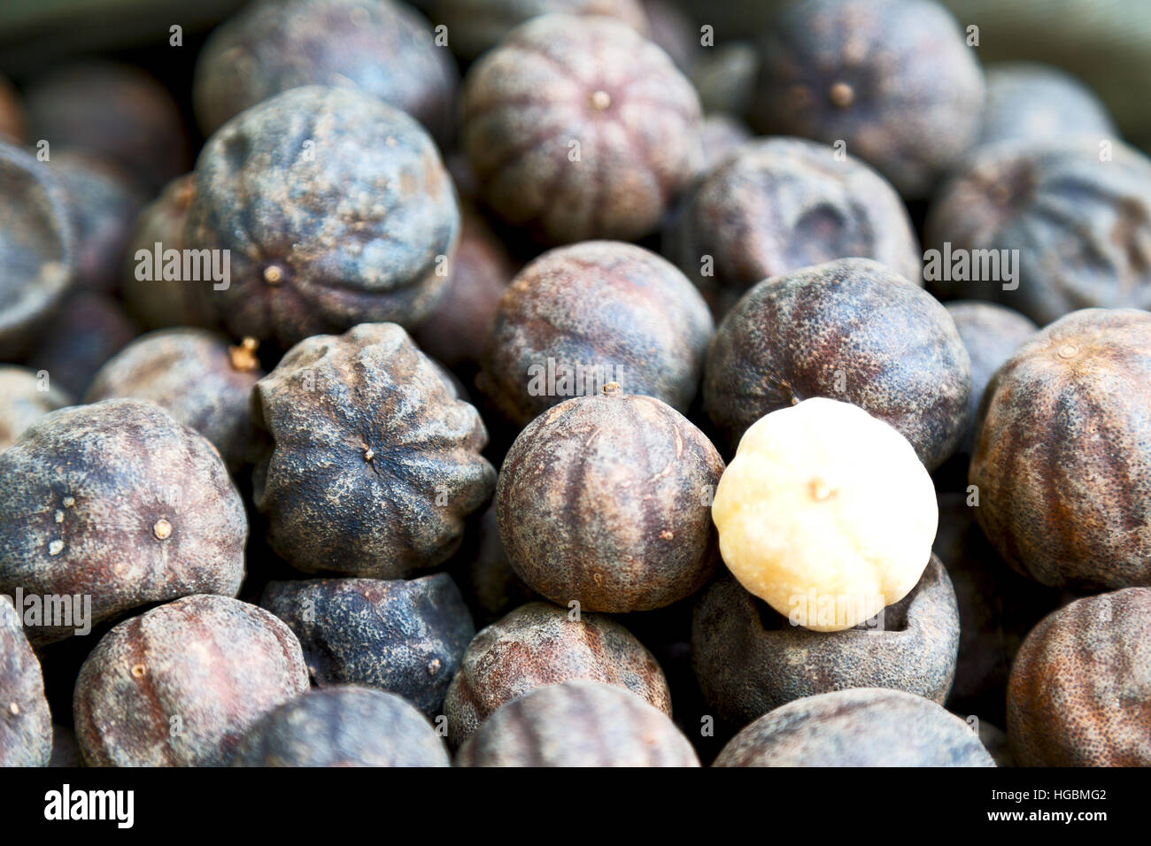 in iran blur typical dry lemon in abstract pattern background flavor ...
