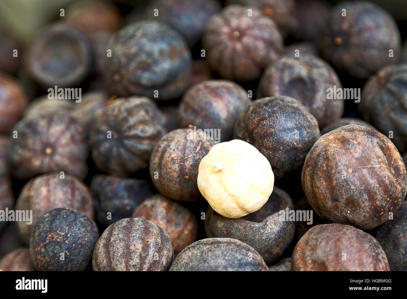 in iran blur typical dry lemon in abstract pattern background flavor ...