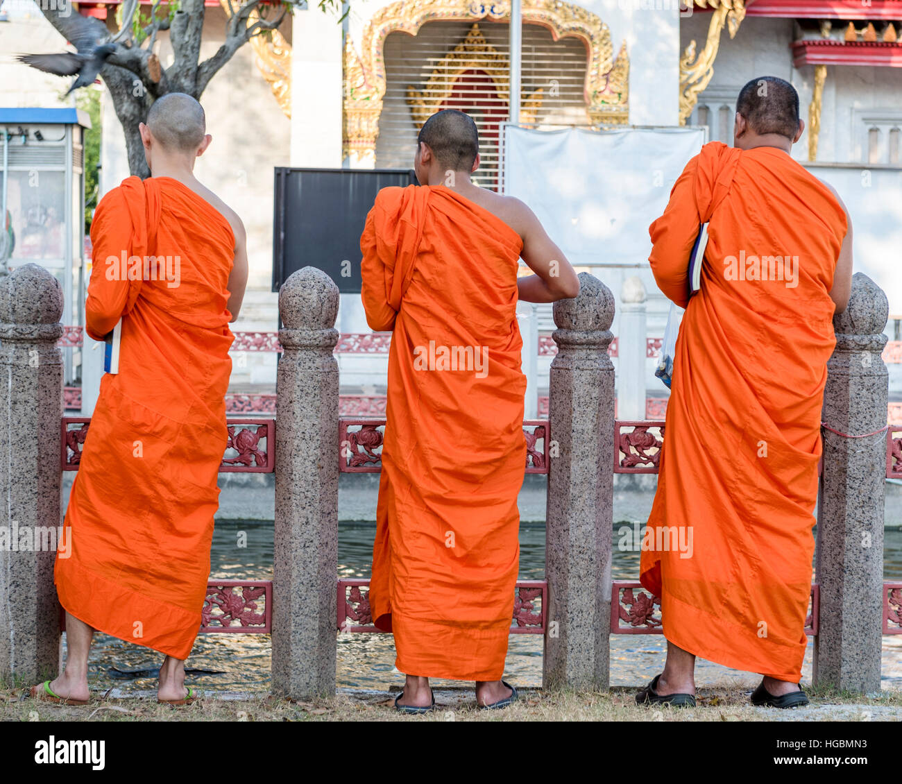 Three Thai Buddhist Monks feeding fish at Wat Benchamabopit in Bangkok ...