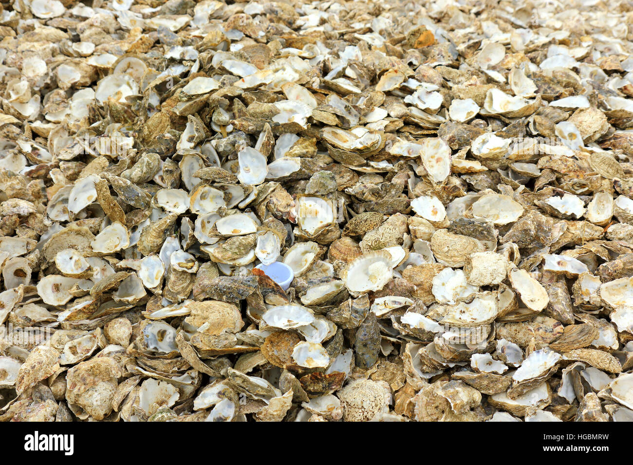 Pile of oyster shells hi-res stock photography and images - Alamy