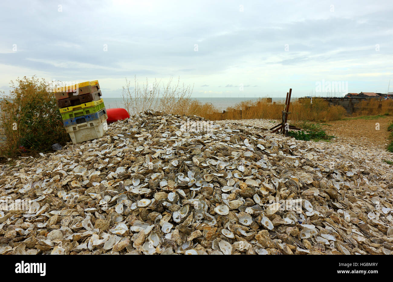 Oyster shells mound hi-res stock photography and images - Alamy