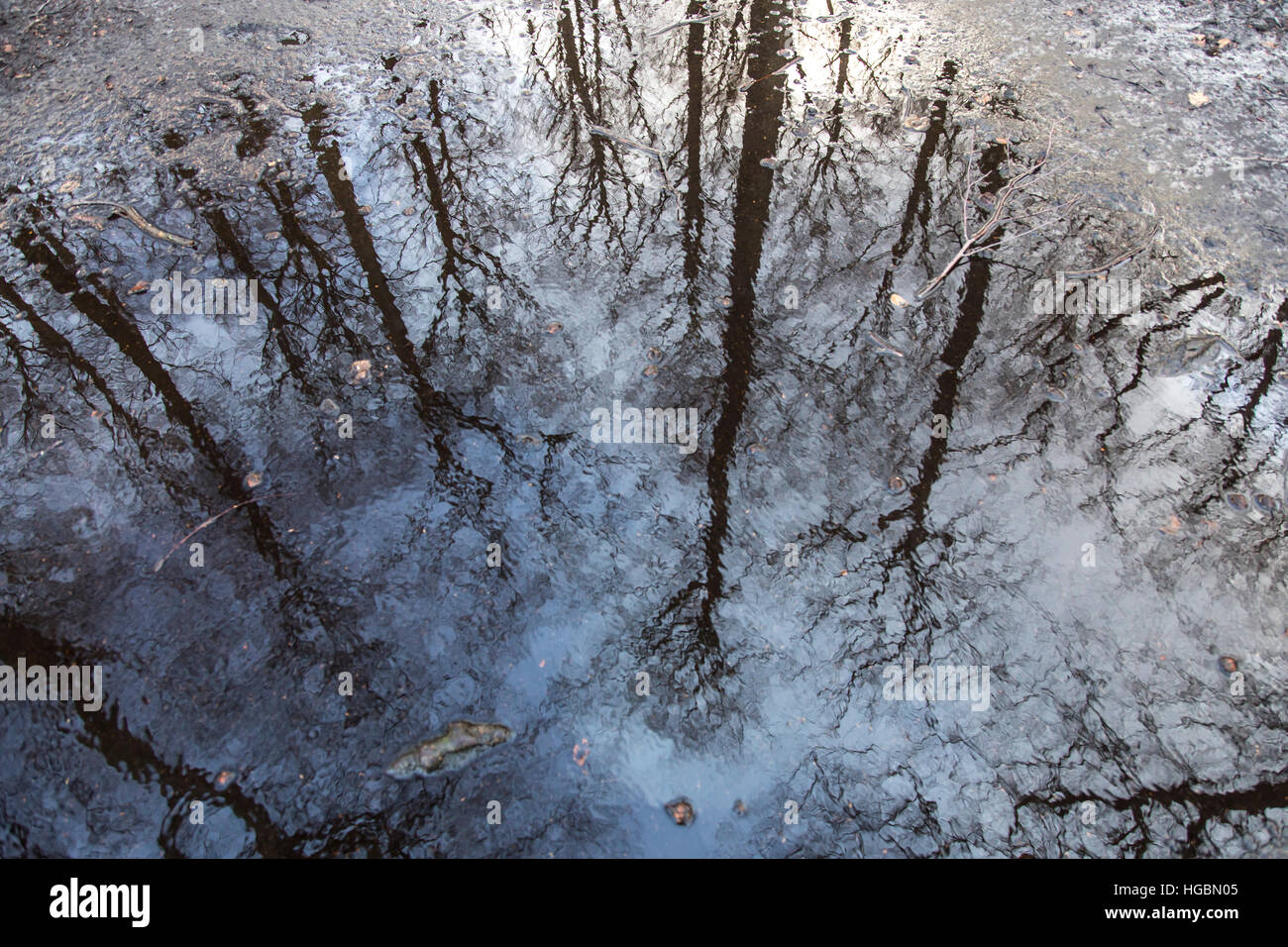 Rainwater Puddle High Resolution Stock Photography and Images - Alamy