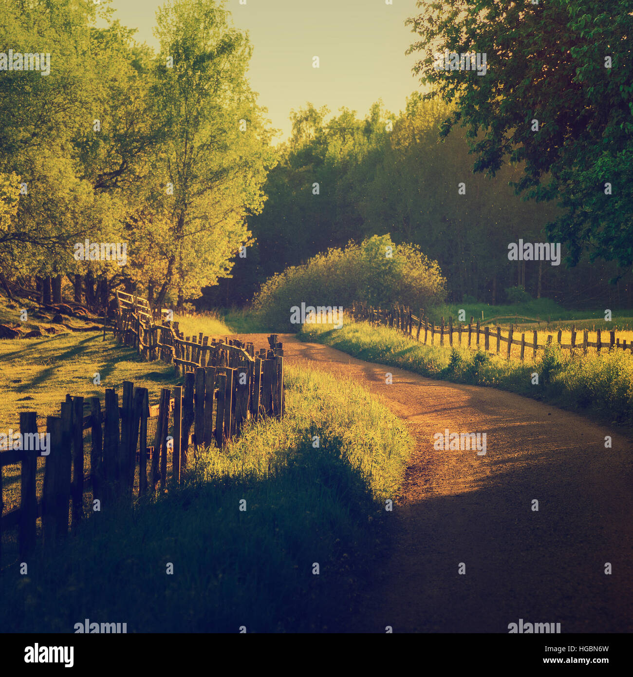 Rural Sweden landscape Stock Photo - Alamy