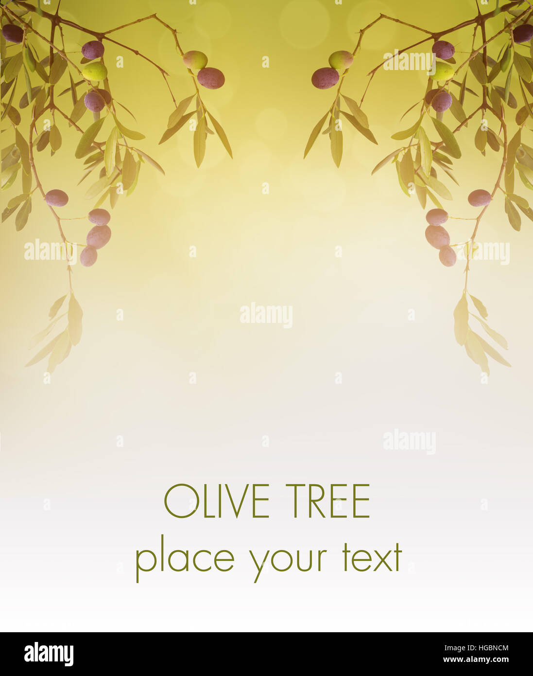 Olive branch card Stock Photo - Alamy