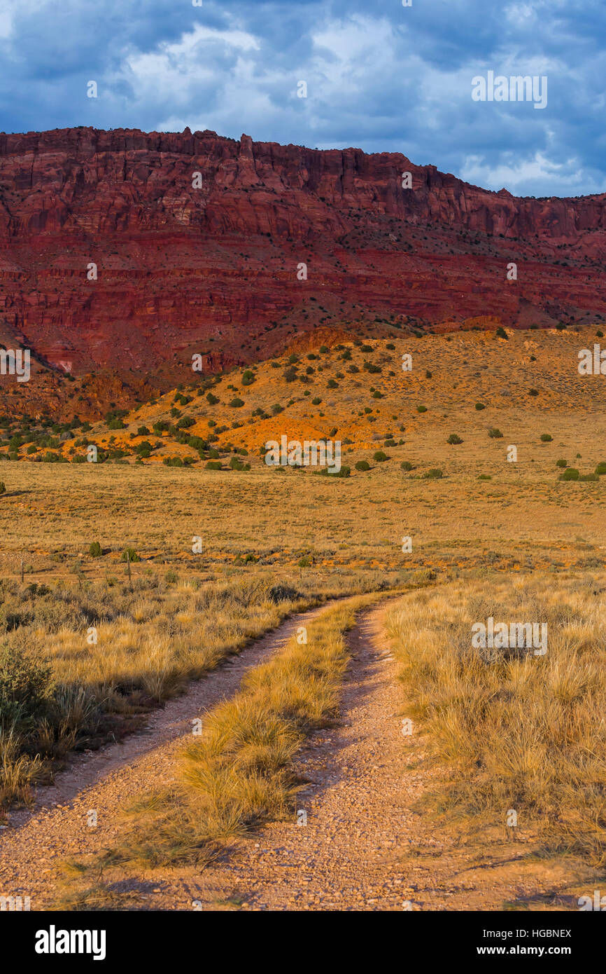 Two-track road leaving the House Rock Road in Vermilion Cliffs National ...