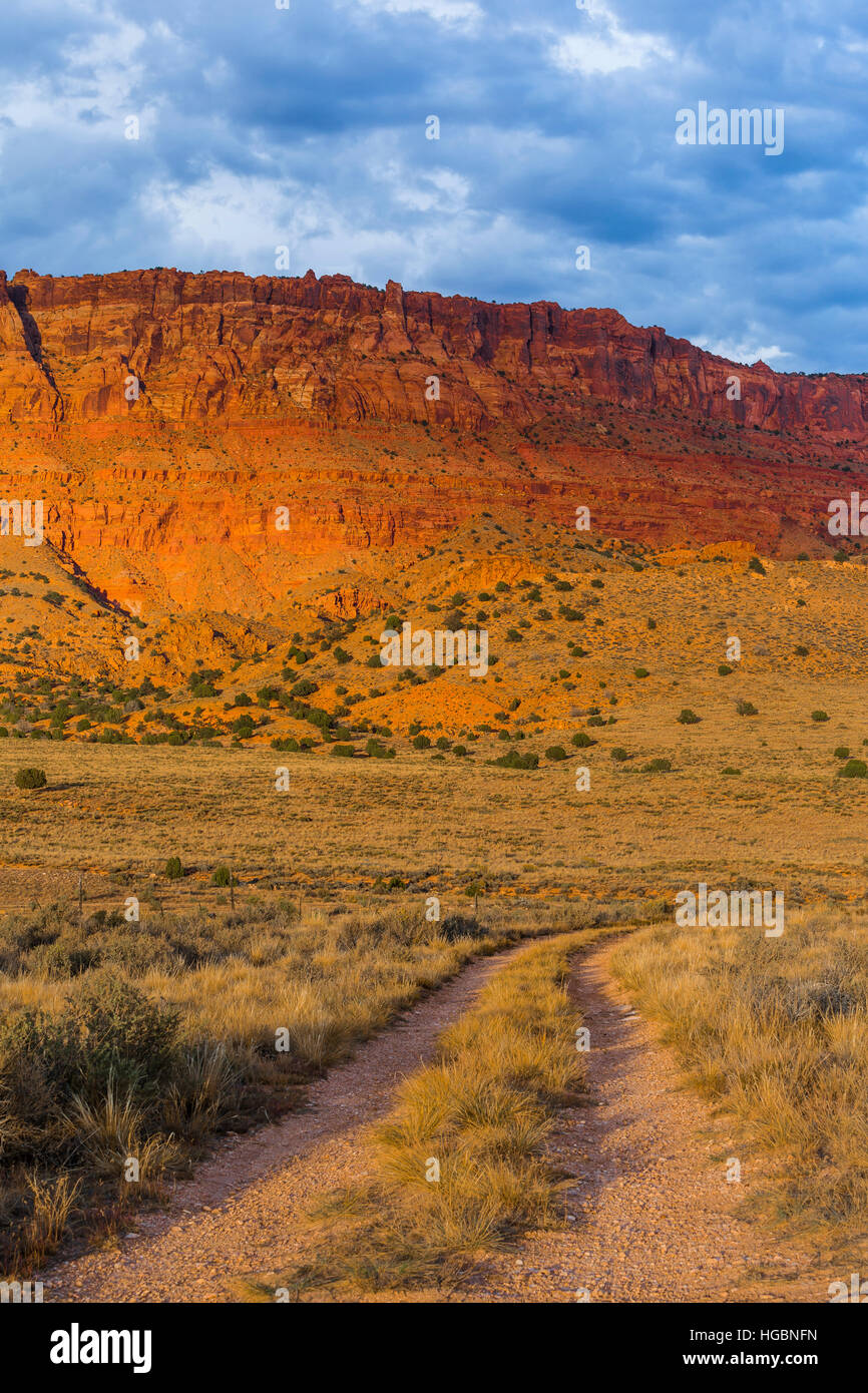 Two track road leaving hi-res stock photography and images - Alamy