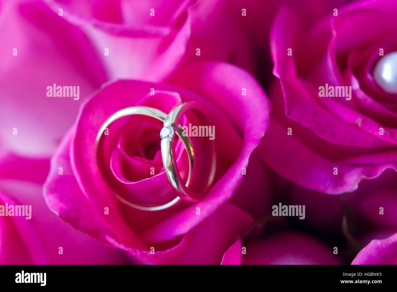 gold wedding rings on petals of roses Stock Photo - Alamy