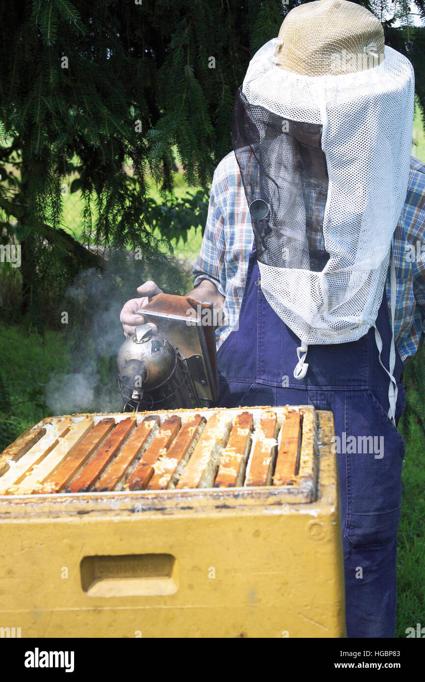 Beekeepers Hood High Resolution Stock Photography and Images - Alamy
