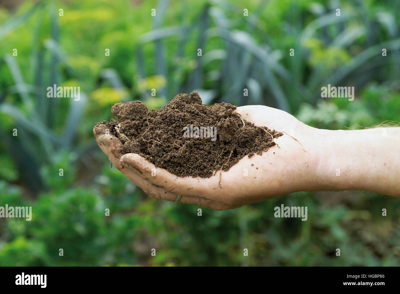 Handfull of soil Stock Photo - Alamy