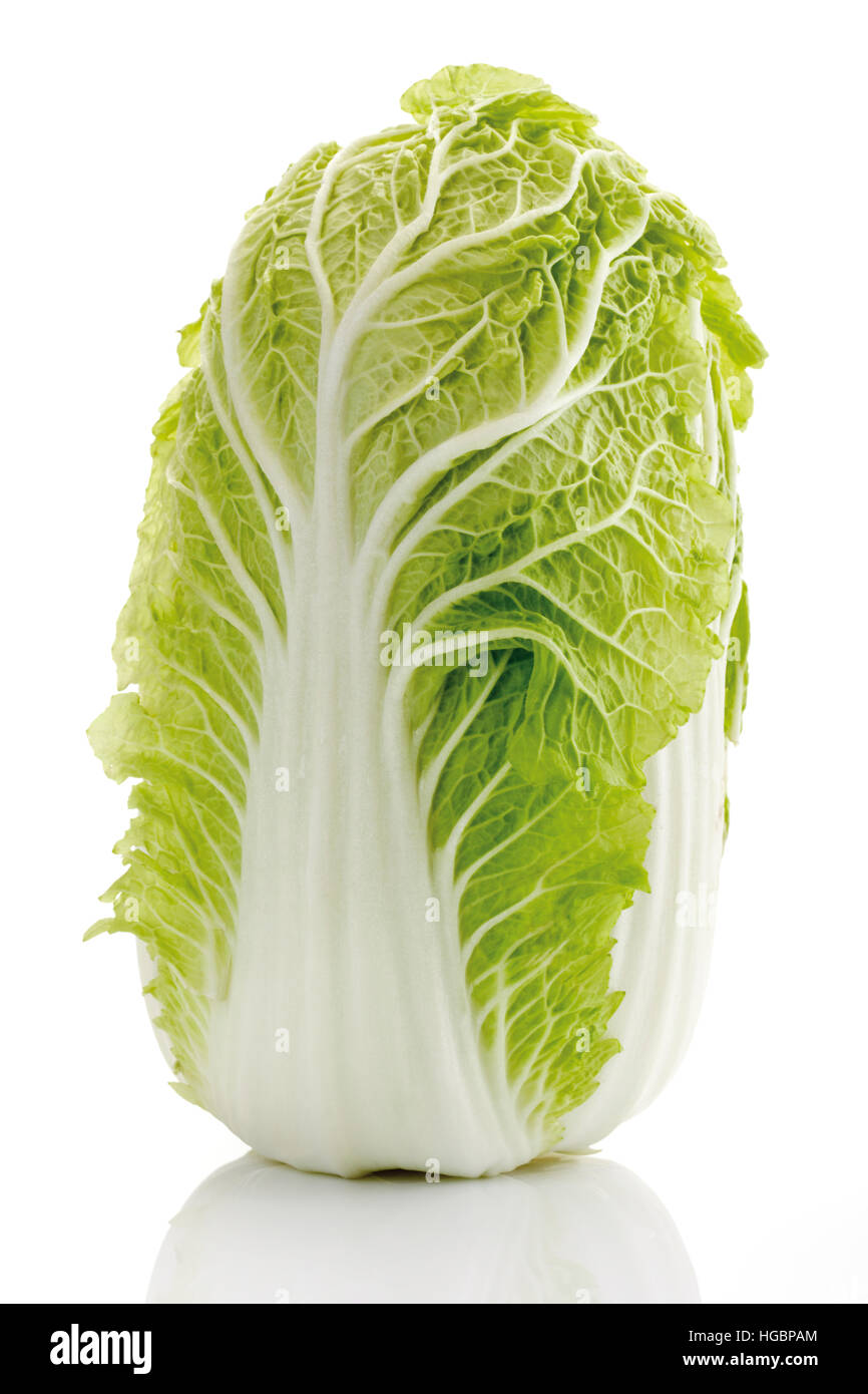 Chinese white cabbage Stock Photo - Alamy