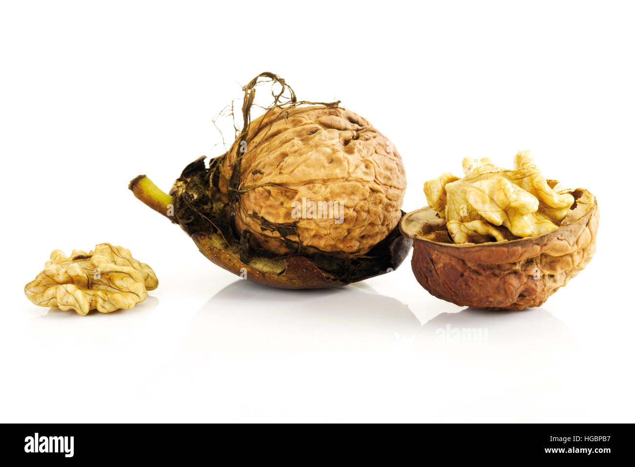 Walnuts out of their shells hi-res stock photography and images - Alamy