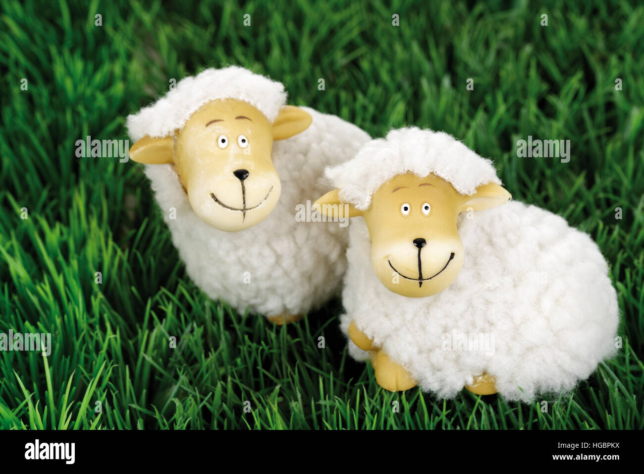 Two sheep on grass Stock Photo - Alamy