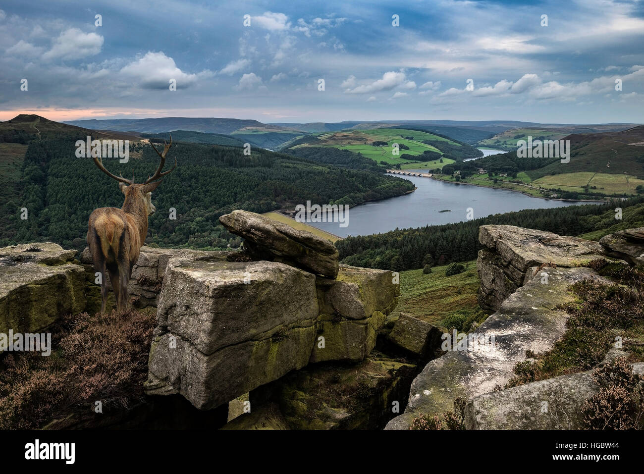 Stag rocks hi-res stock photography and images - Alamy