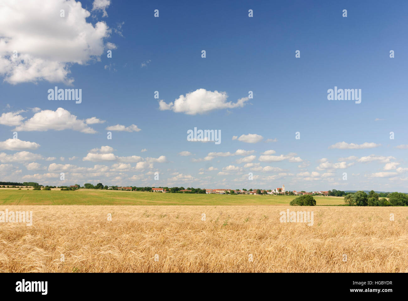 Fratting hi-res stock photography and images - Alamy