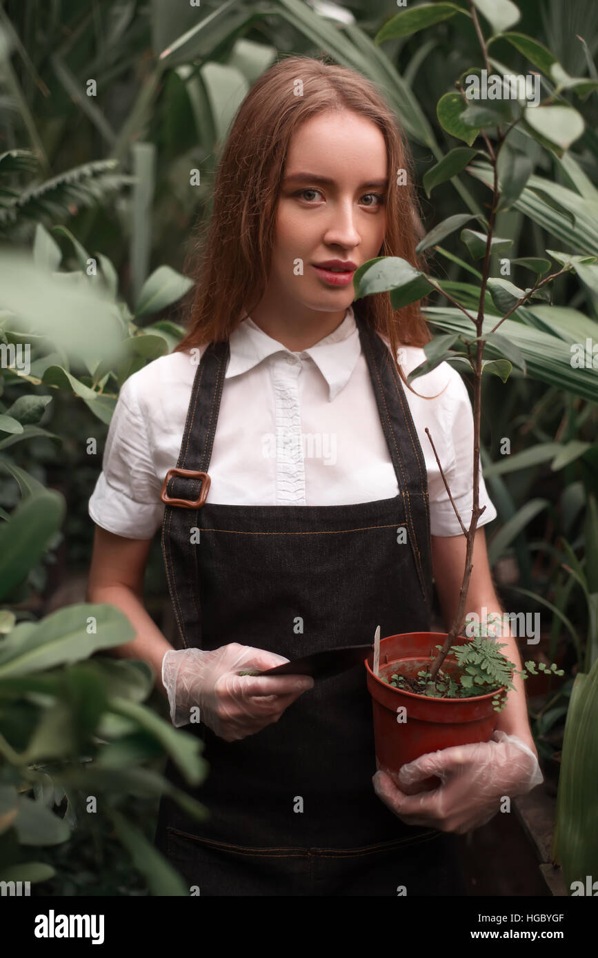 Female gardener work in greenhouse Stock Photo - Alamy