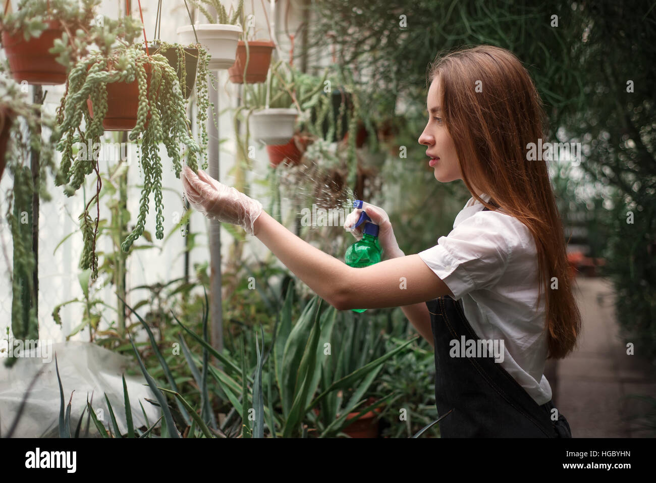 Take care of flowers hi-res stock photography and images - Alamy