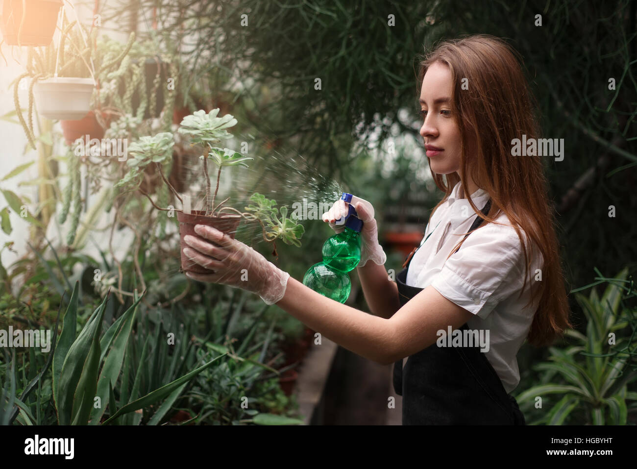 Smiling woman spraying flowers hi-res stock photography and images - Alamy