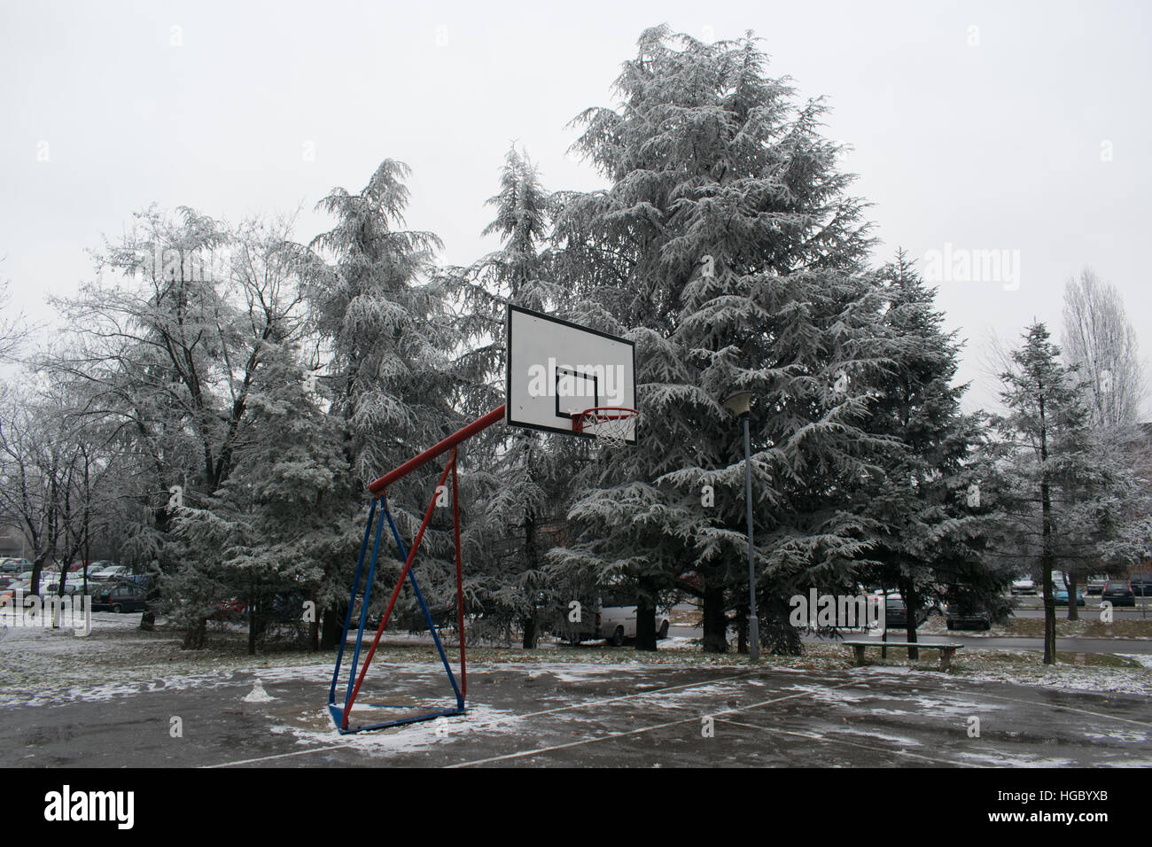 Hoop Pine Stock Photos & Hoop Pine Stock Images - Alamy