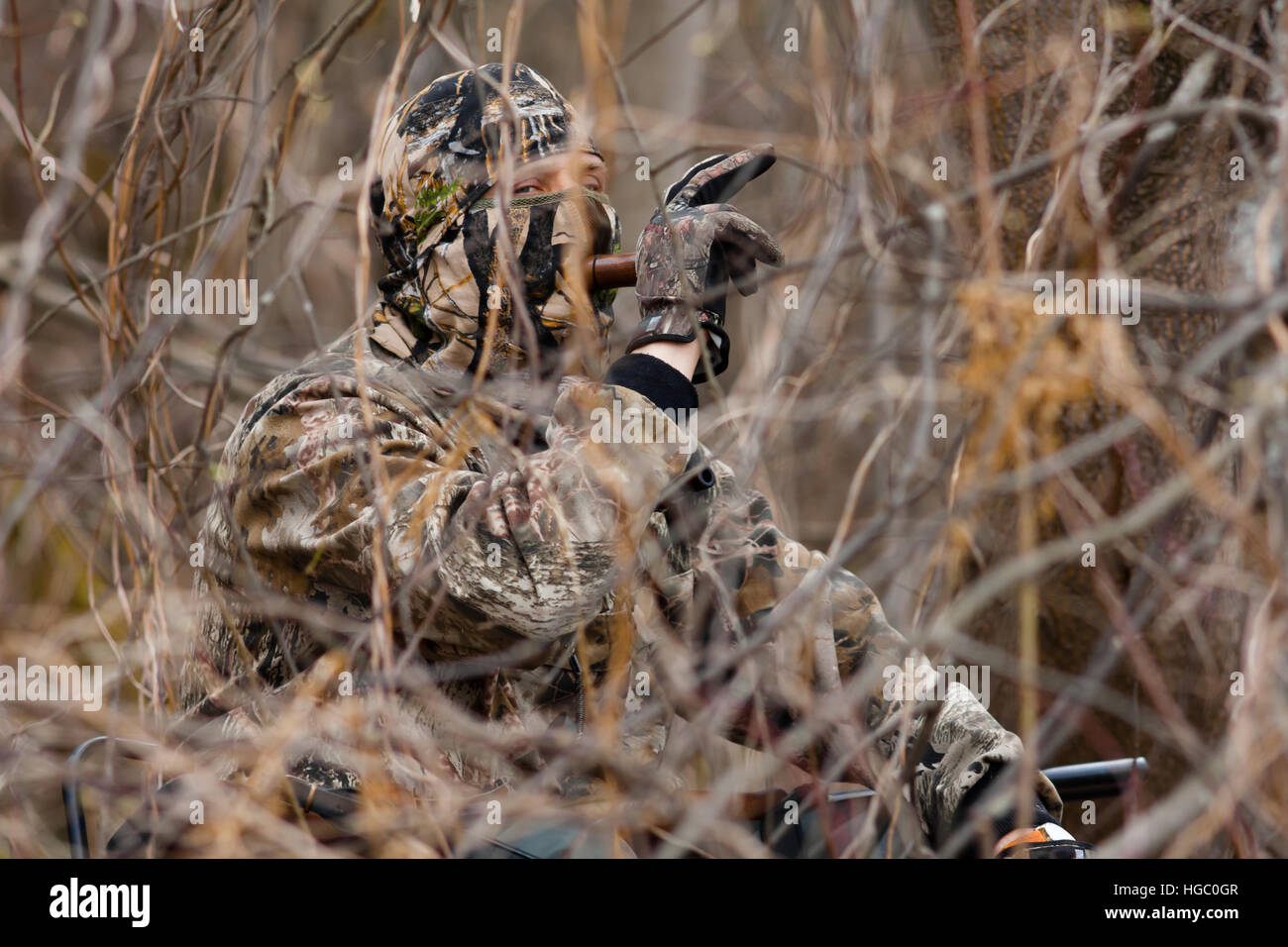 well hidden hunter calls duck Stock Photo - Alamy