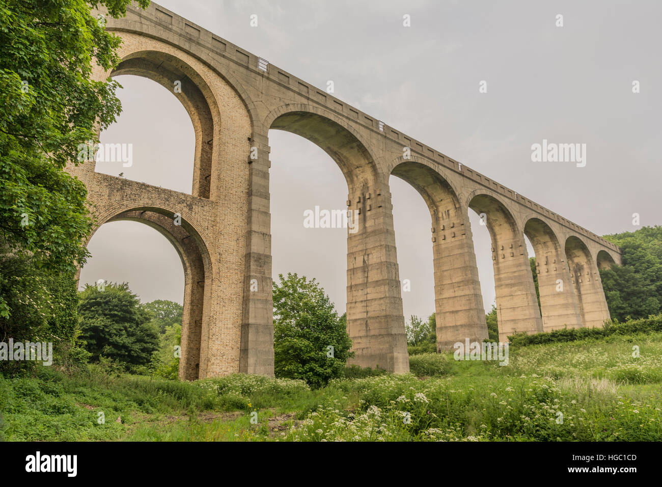 The Cannington Viaduct, Uplyme, Devon, England Stock Photo - Alamy