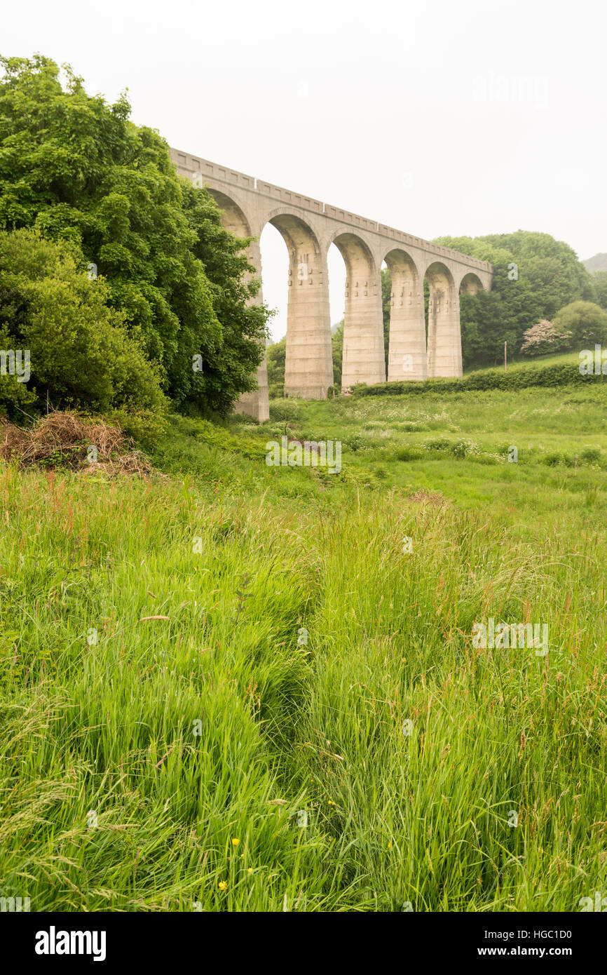 The Cannington Viaduct, Uplyme, Devon, England Stock Photo - Alamy