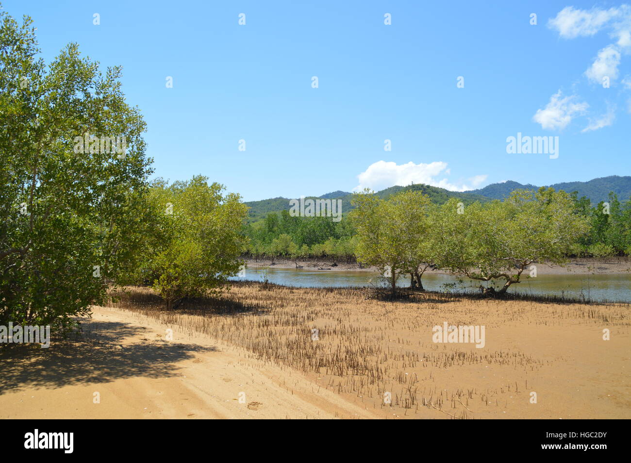 Lokobe(which means Many Colors) Natural Reserve on the island of Nosy ...