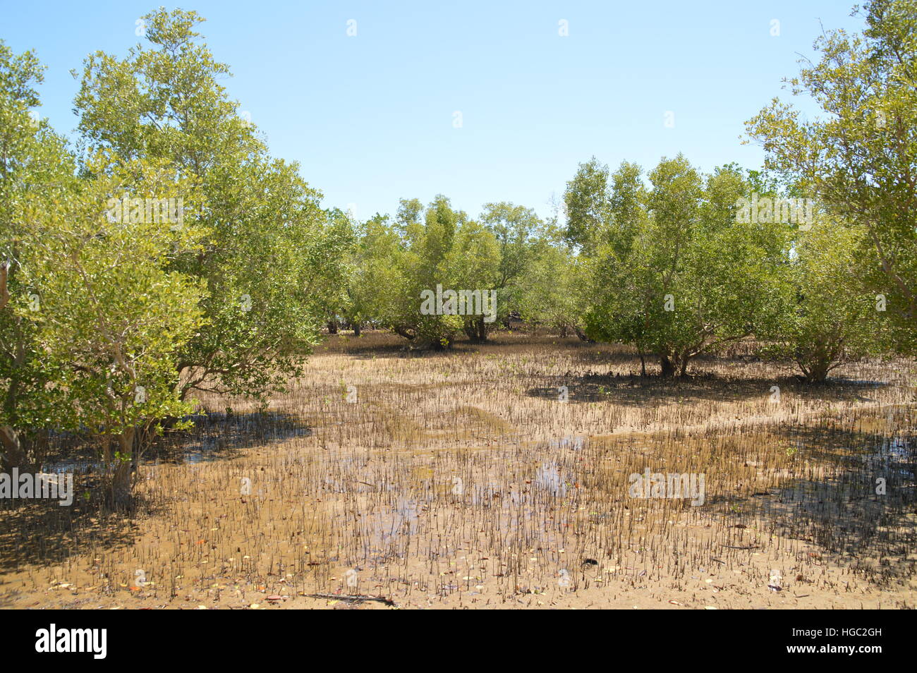 Lokobe national park madagascar hi-res stock photography and images - Alamy