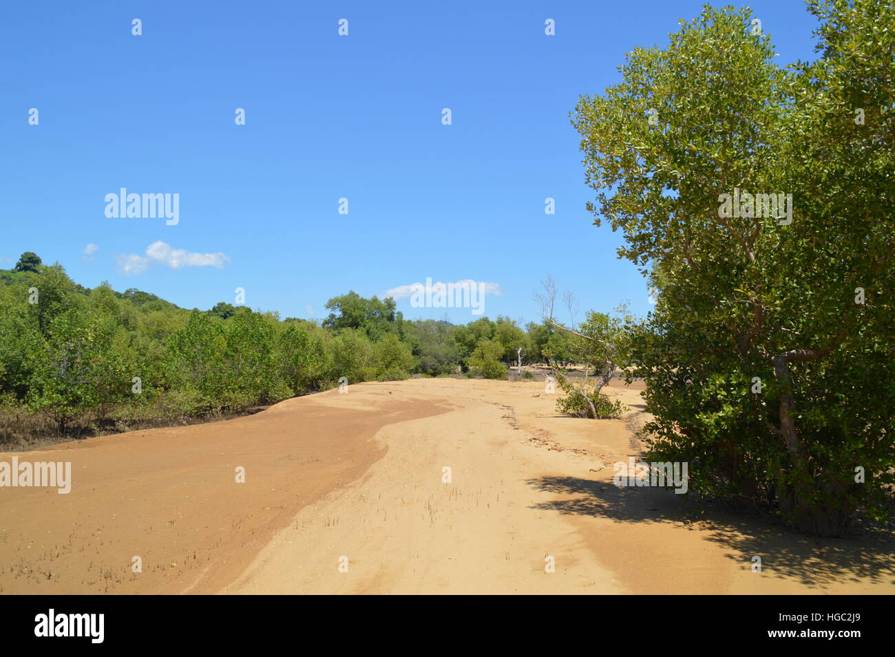 Lokobe(which means Many Colors) Natural Reserve on the island of Nosy ...