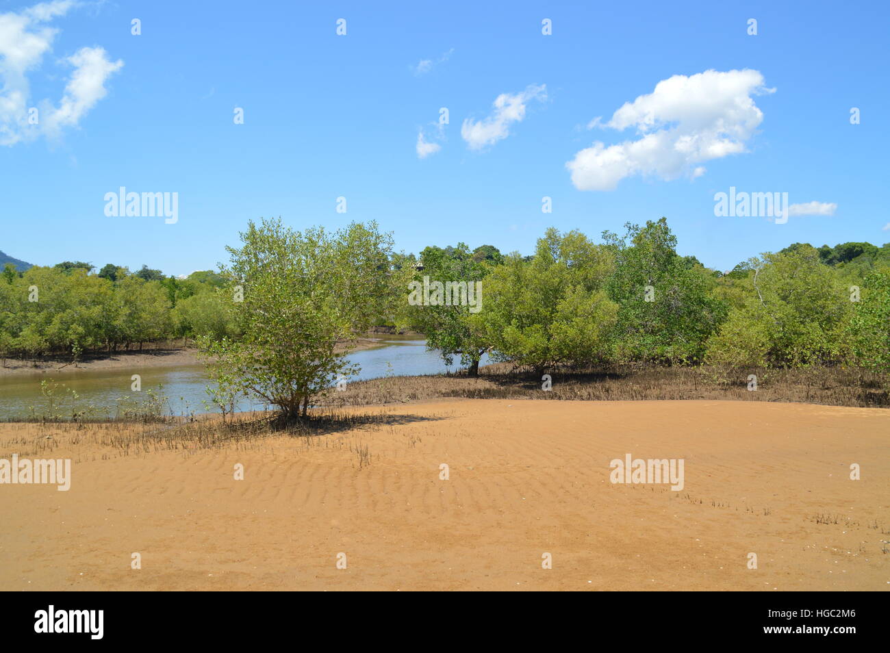 Lokobe(which means Many Colors) Natural Reserve on the island of Nosy ...