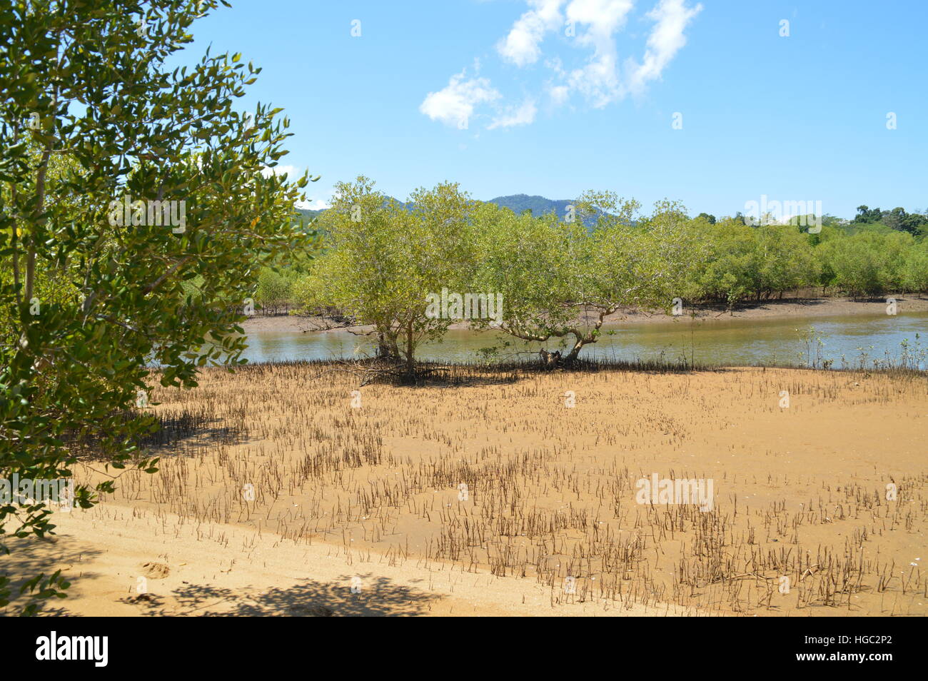 Lokobe(which means Many Colors) Natural Reserve on the island of Nosy ...