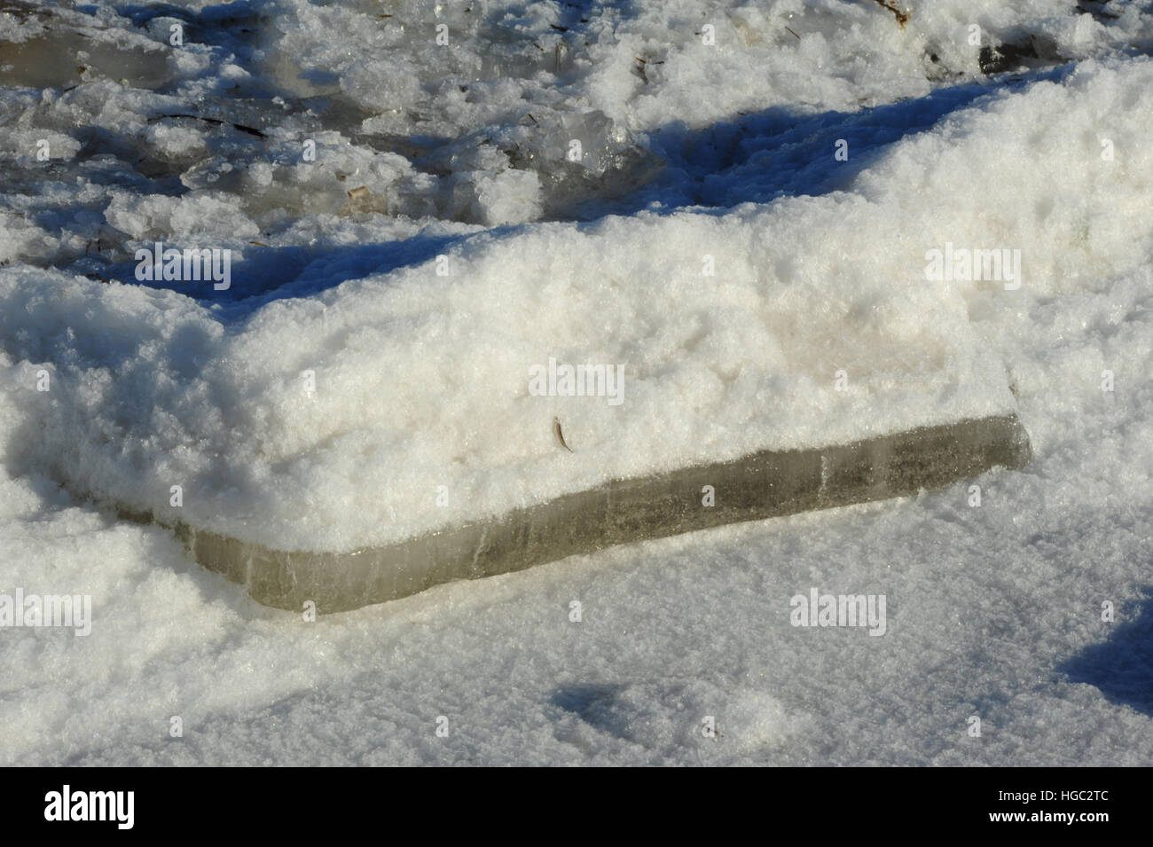 Horizontal sea ice block with solid grey base and thick white top ...