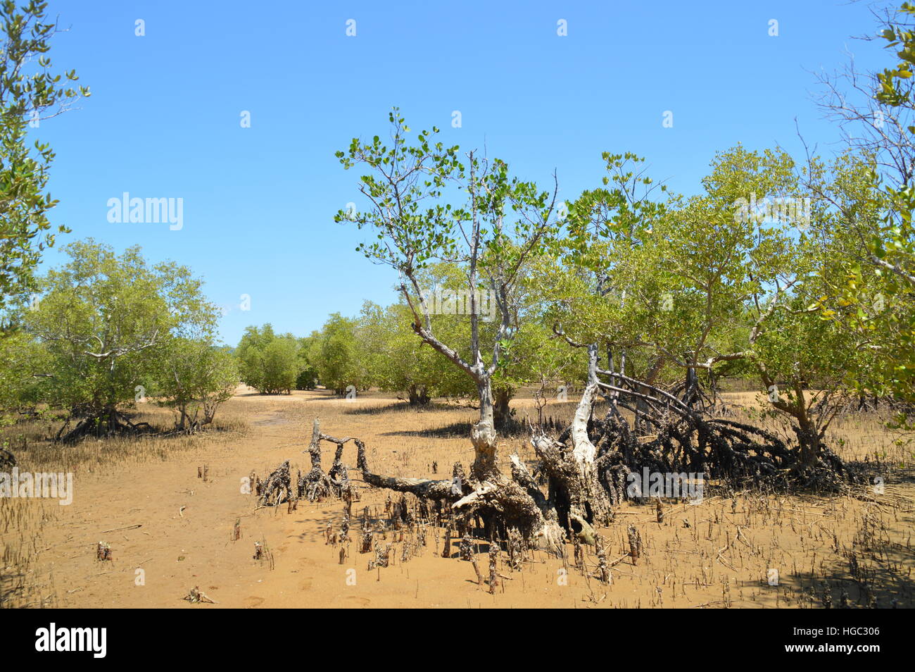 Lokobe(which means Many Colors) Natural Reserve on the island of Nosy ...