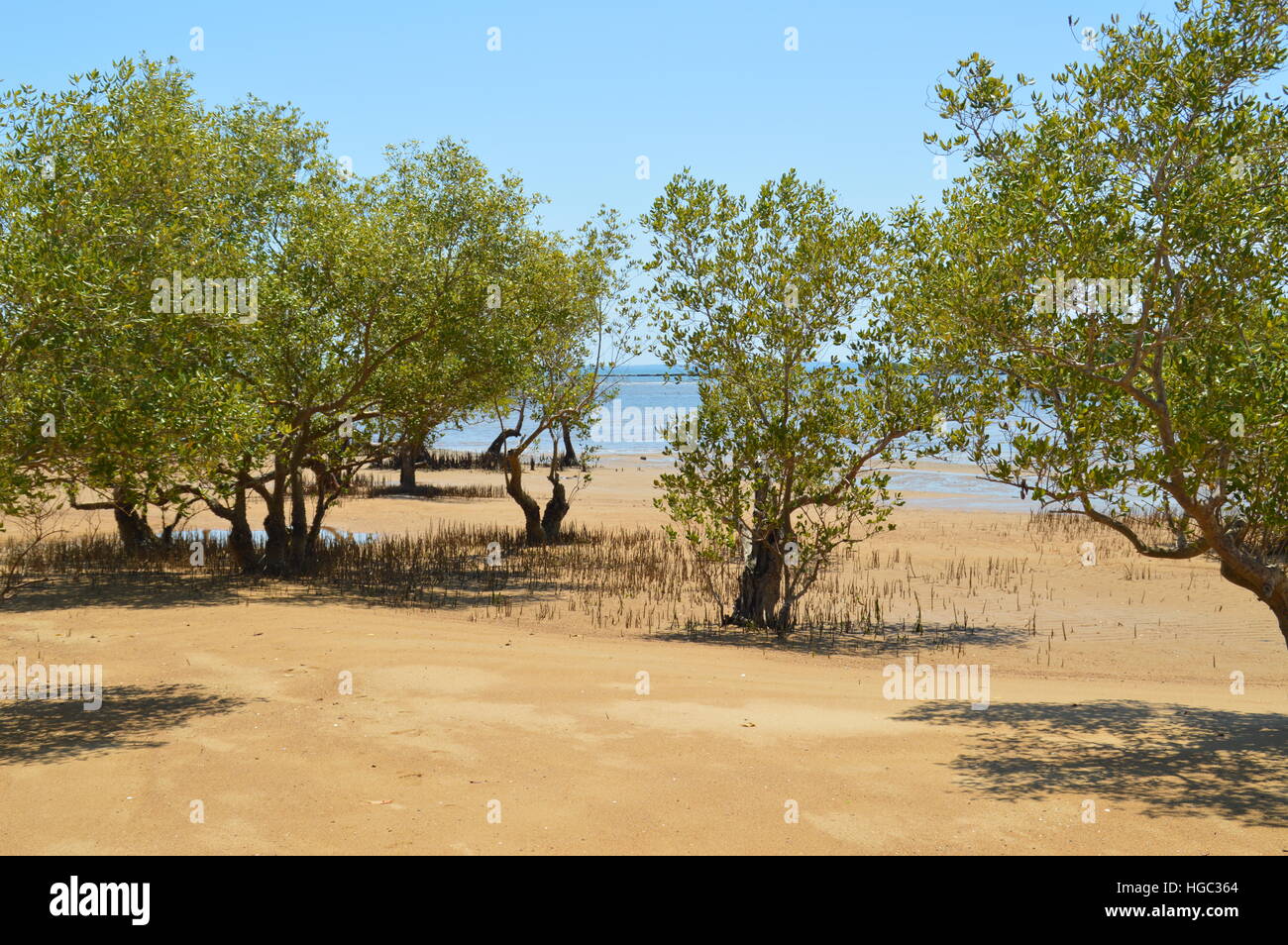 Lokobe(which means Many Colors) Natural Reserve on the island of Nosy ...