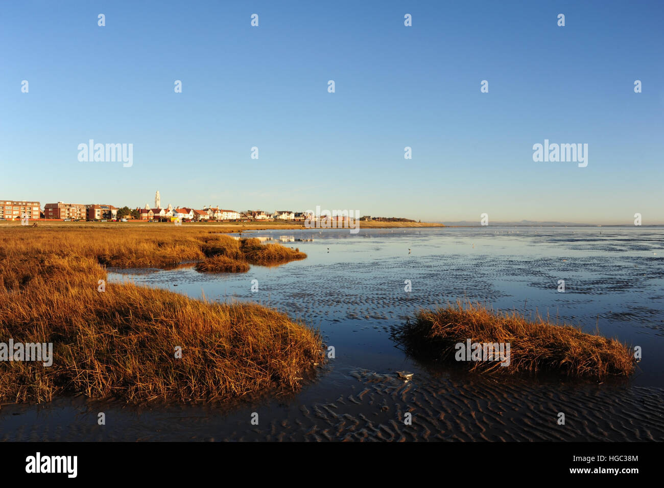 Blue sky view brown saltmarsh grass and wet sand beach expanse, west ...