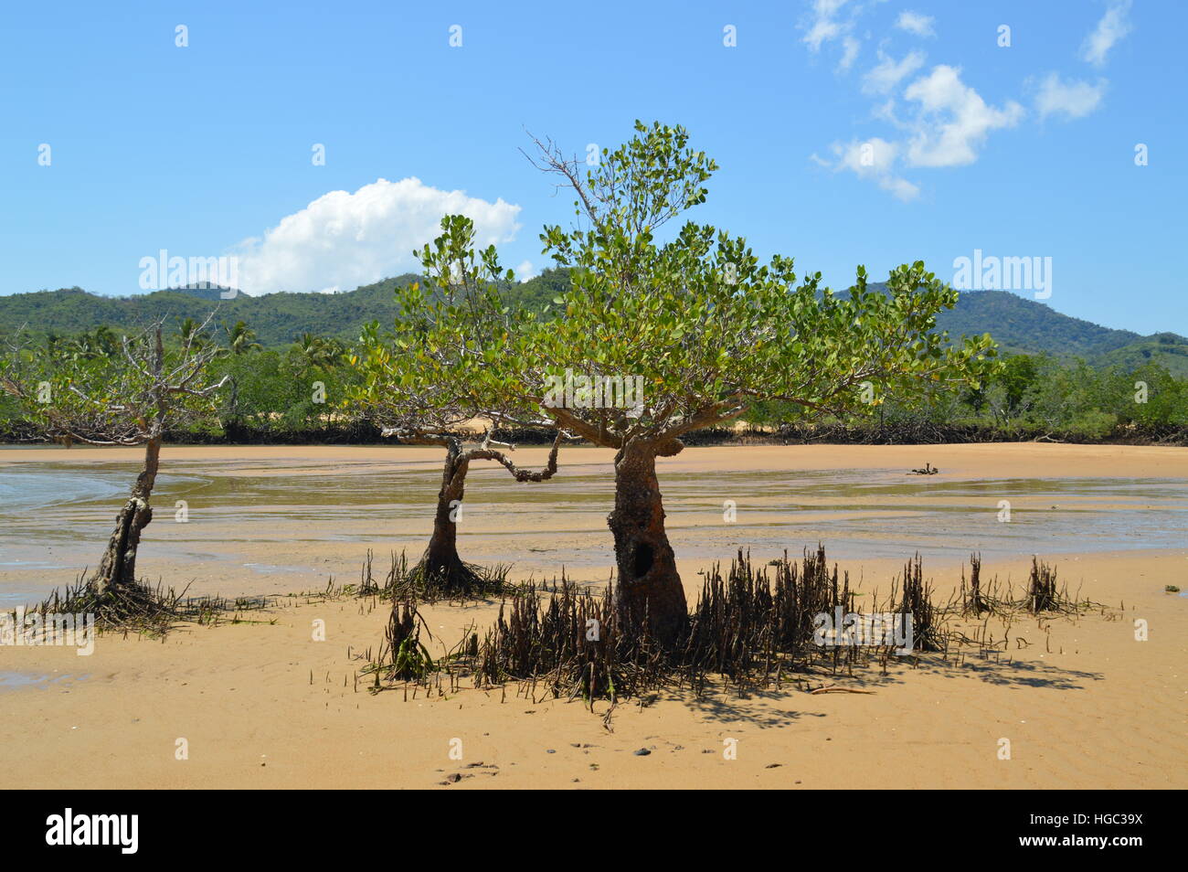 Lokobe(which means Many Colors) Natural Reserve on the island of Nosy ...