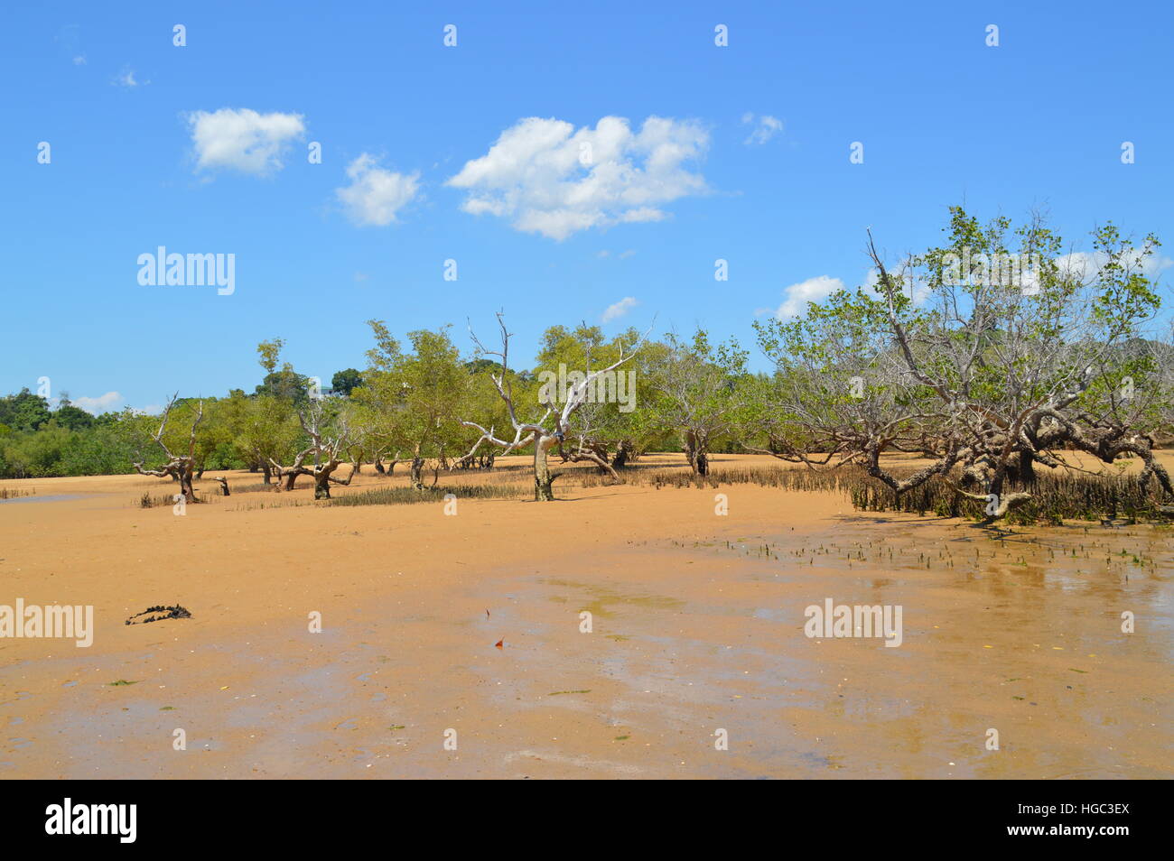 Lokobe(which means Many Colors) Natural Reserve on the island of Nosy ...
