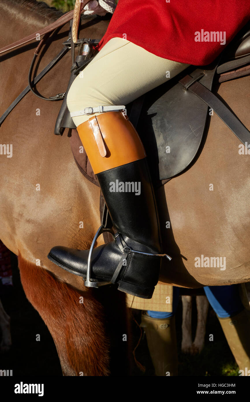 West midlands fox hunting hi-res stock photography and images - Alamy