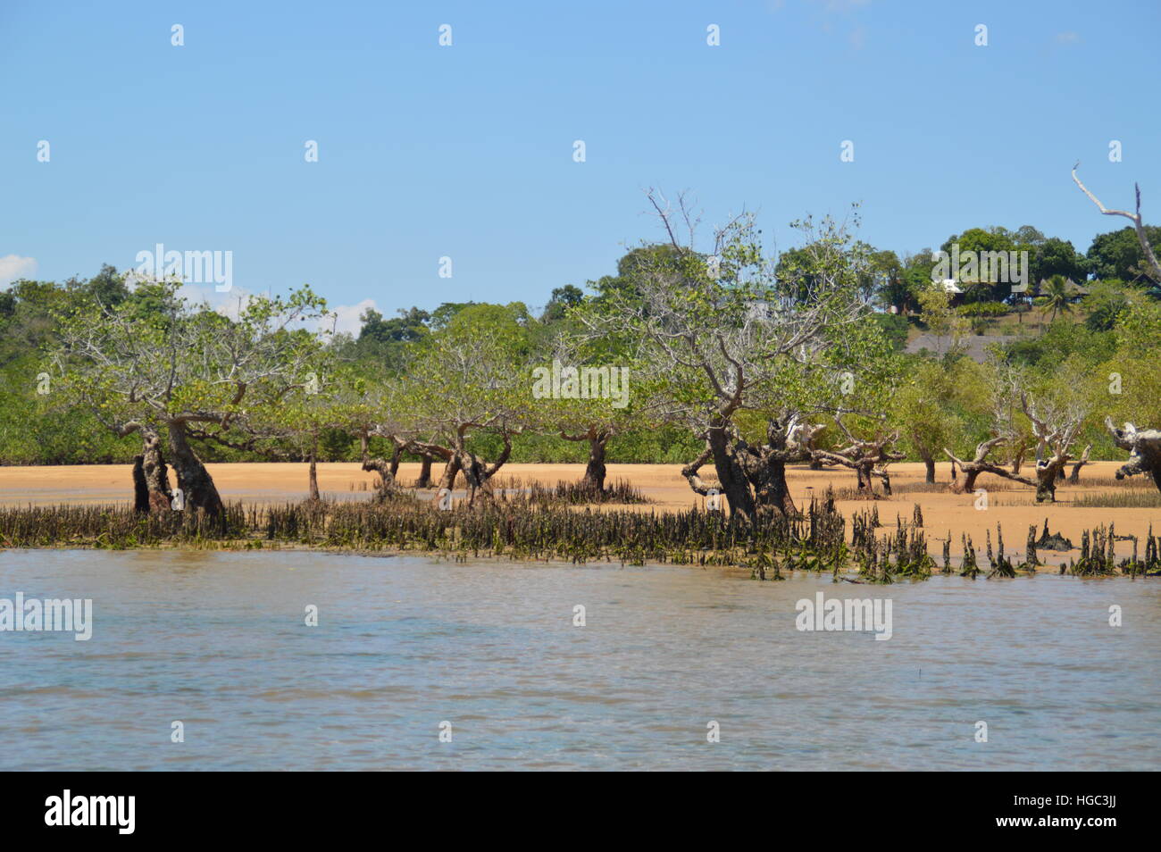 Lokobe(which means Many Colors) Natural Reserve on the island of Nosy ...
