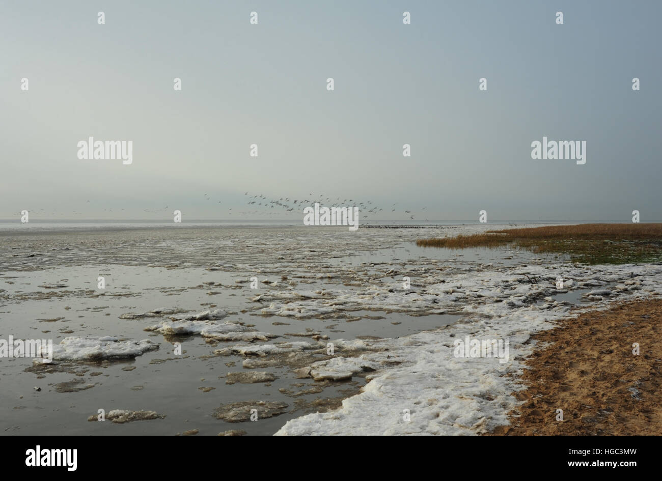 Beach narrow expanse wet sand centre foreground extending right ...