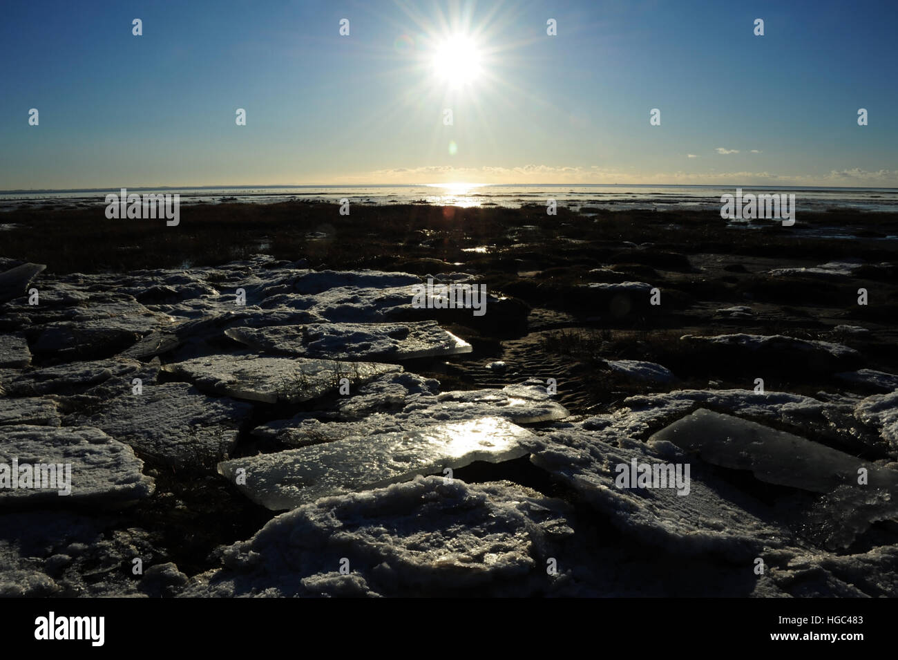 Uneven large sea ice blocks lying saltmarsh surface foreground view hi ...