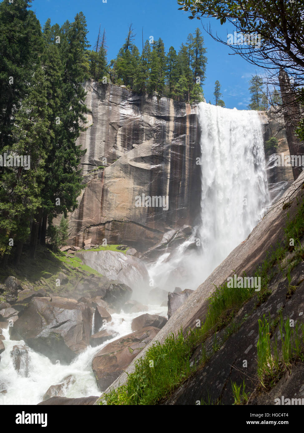 Vernall hi-res stock photography and images - Alamy