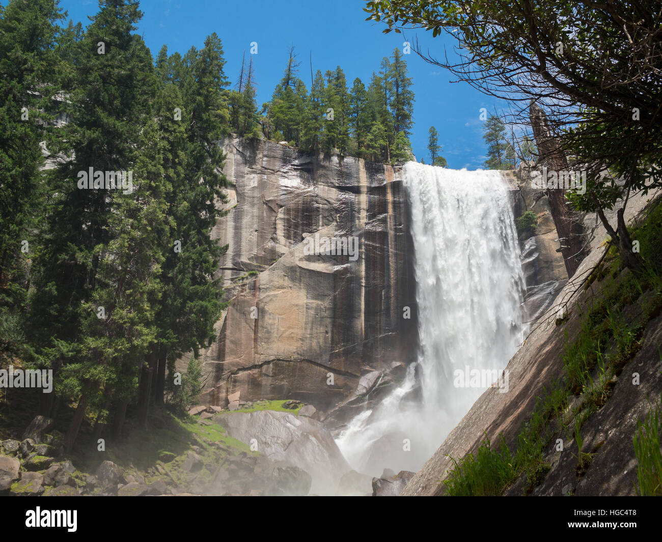 Vernall hi-res stock photography and images - Alamy