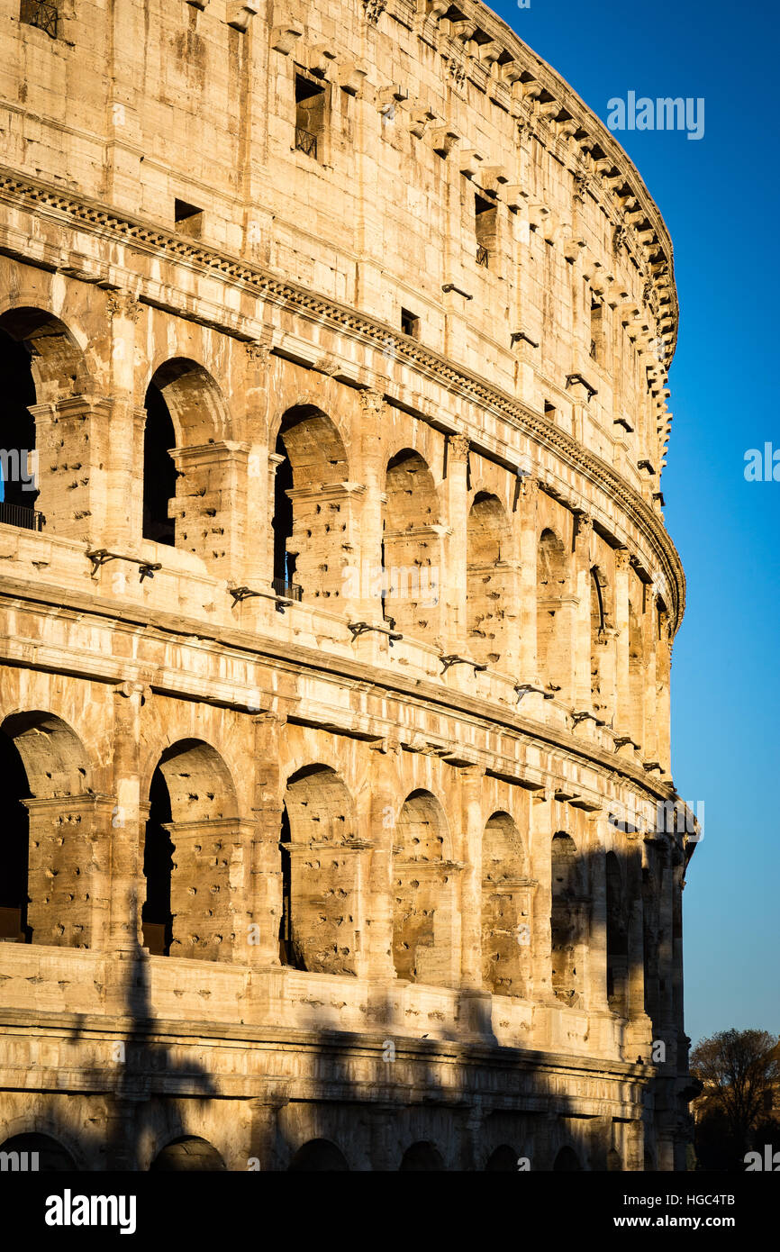 The Colosseum of Rome in the morning light during the summer in Rome ...