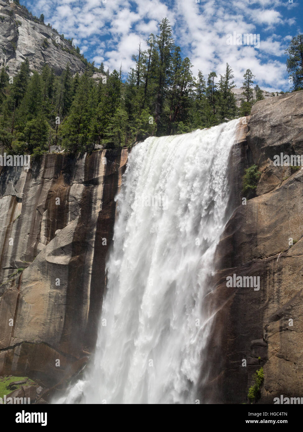 Vernall hi-res stock photography and images - Alamy