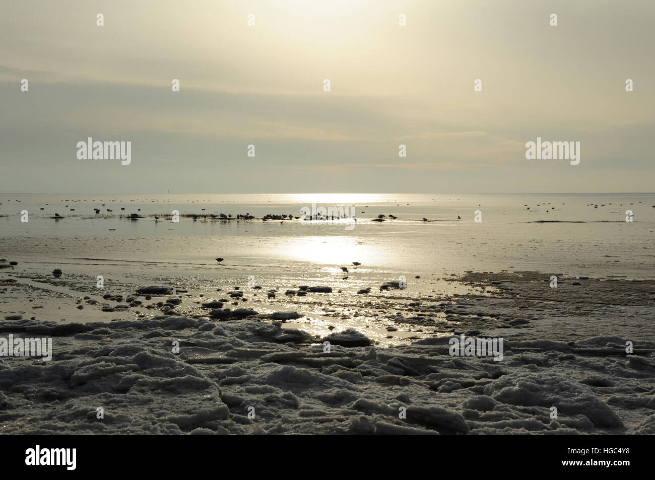 Land-fast sea ice towards white sun shining calm seawater with seabirds ...