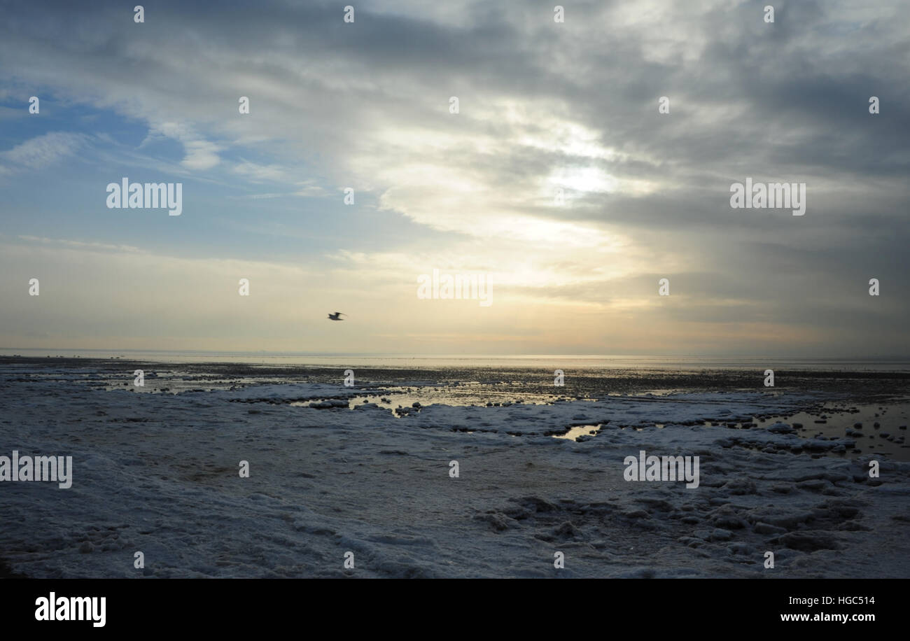 Land fast sea ice lying sand surface foreground extending mid distance ...