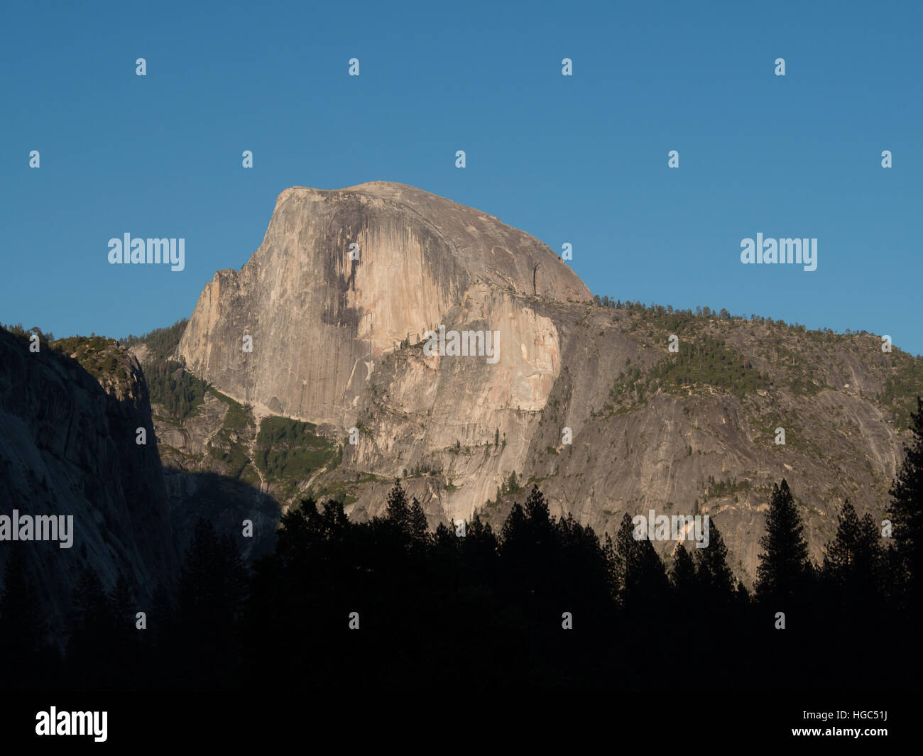 Half trees hi-res stock photography and images - Alamy