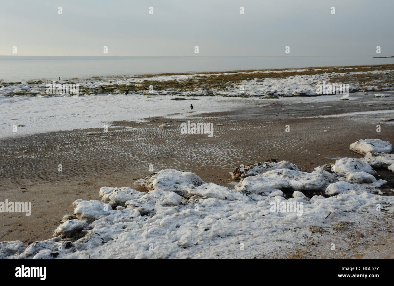 Land fast sea ice lying sand surface foreground extending mid distance ...