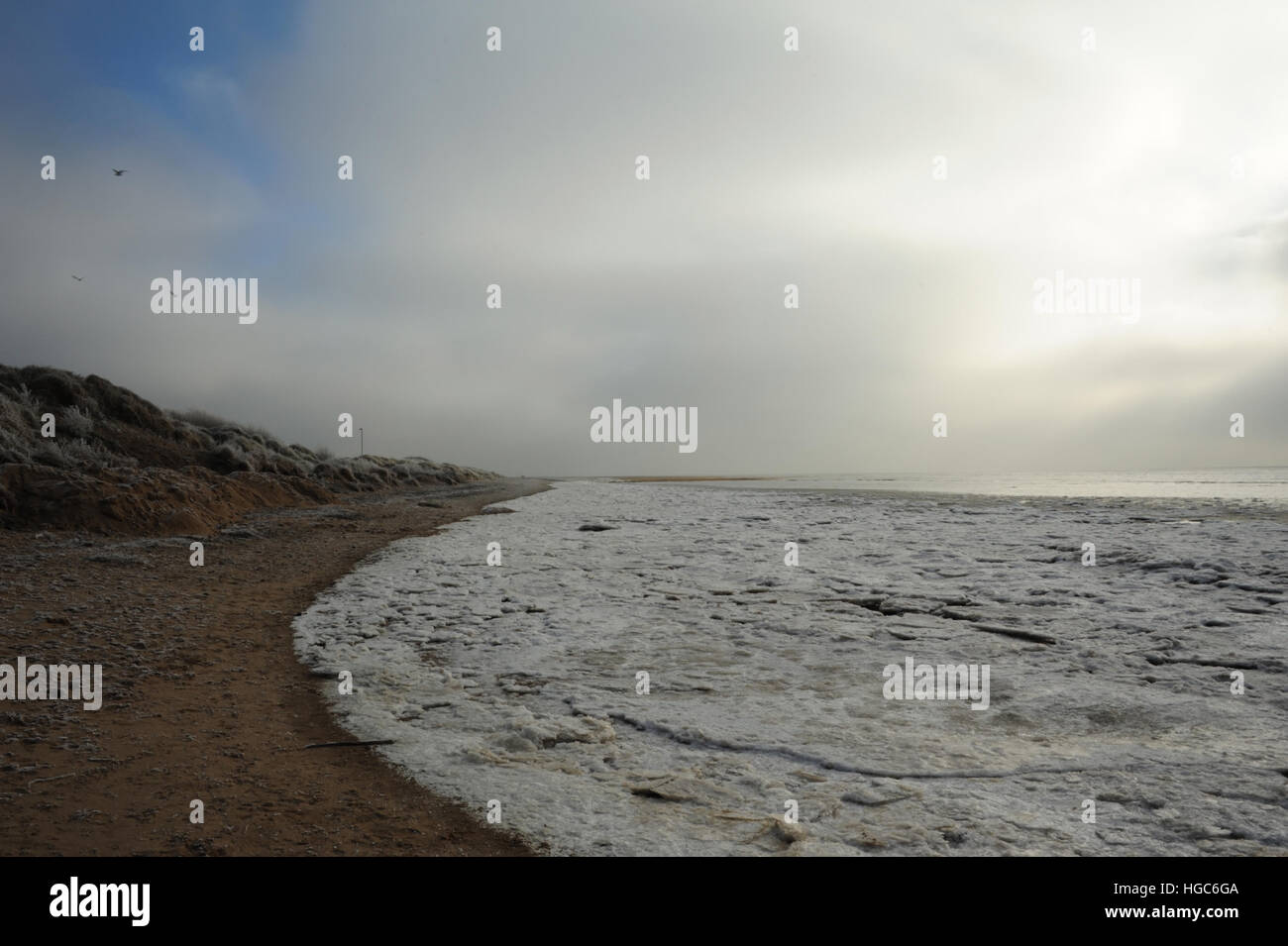 1 white expanse land fast sea ice lying sand foreground view hi-res ...