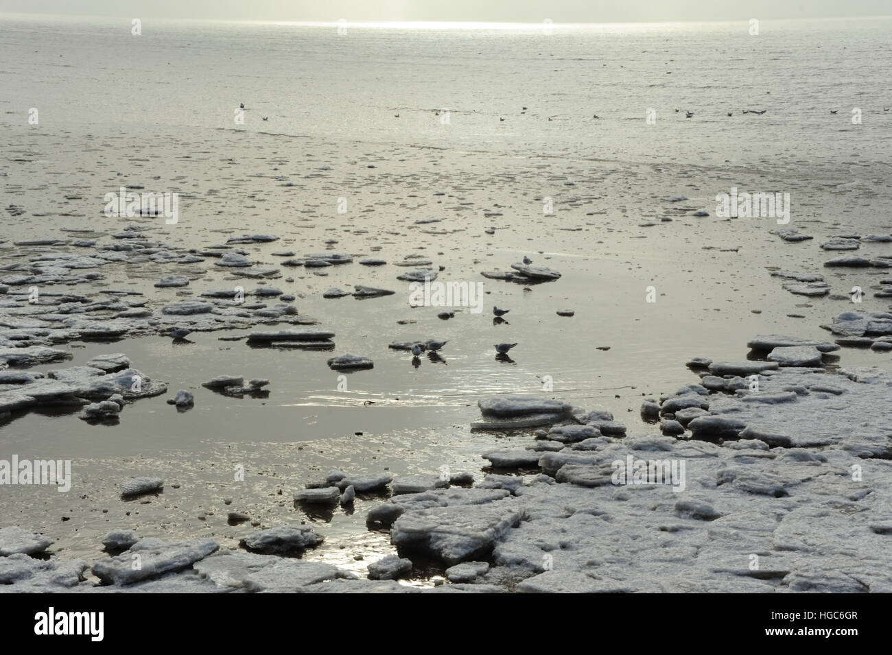 Grey sky view blocks of land-fast sea ice on beach towards receding sea ...